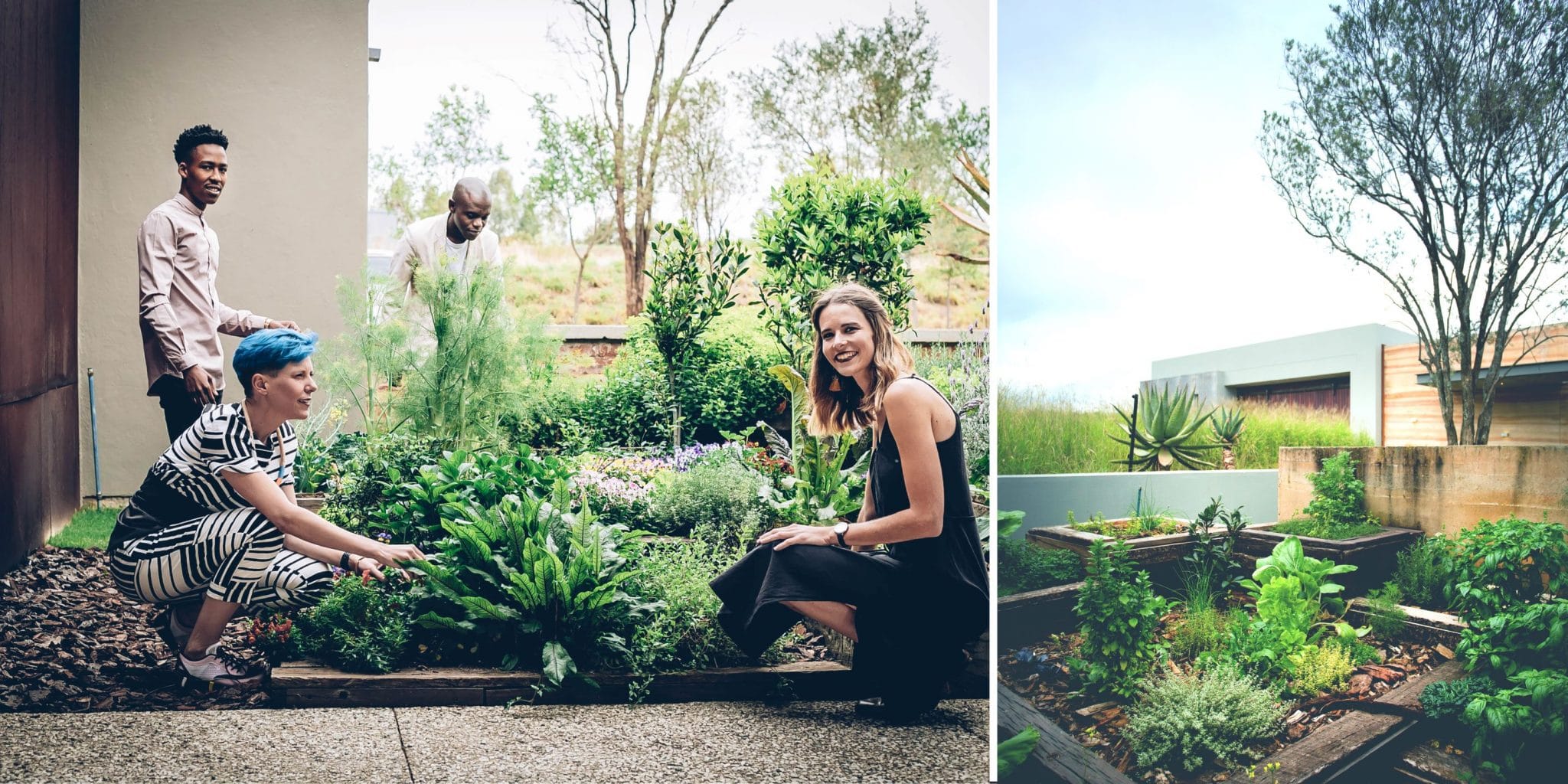 Creating spaces that heal