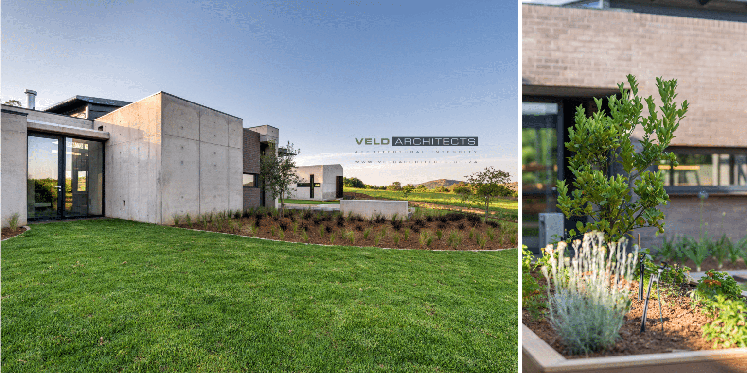 Why Biophilic Design Matters in Architecture? - Veld Architects