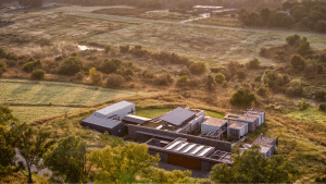 Why Biophilic Design Matters in Architecture? - Veld Architects